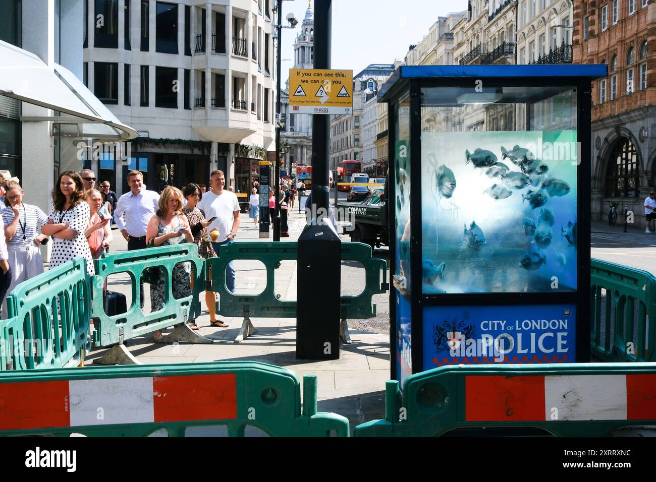 City of London, UK. 12th Aug 2024. 'Banksy' Piranha fish appear in City ...