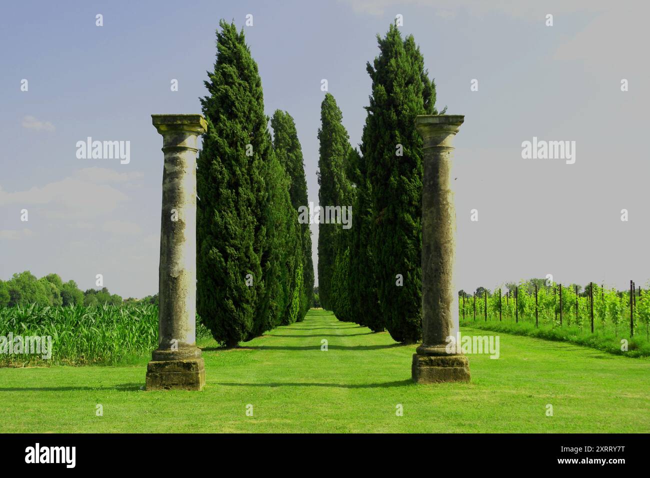Foreground two columns hi-res stock photography and images - Alamy