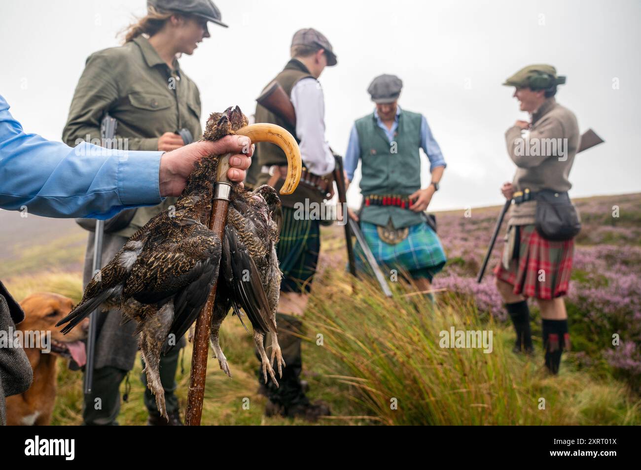 A shooting party on the moors in the Lammermuir Hills, near Gifford ...