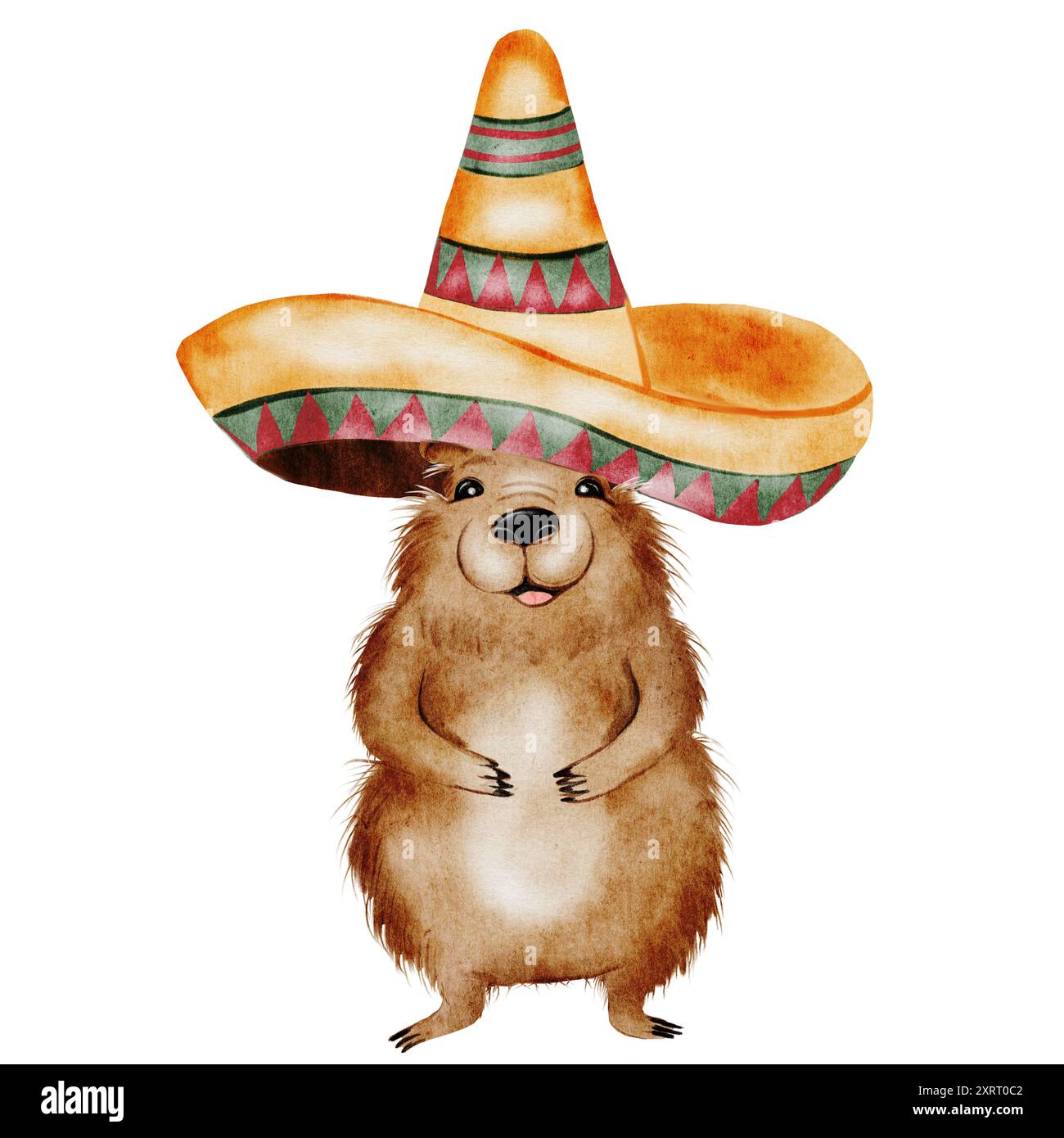 Capybara cartoon watercolor. A funny animal in a Mexican sombrero hat ...