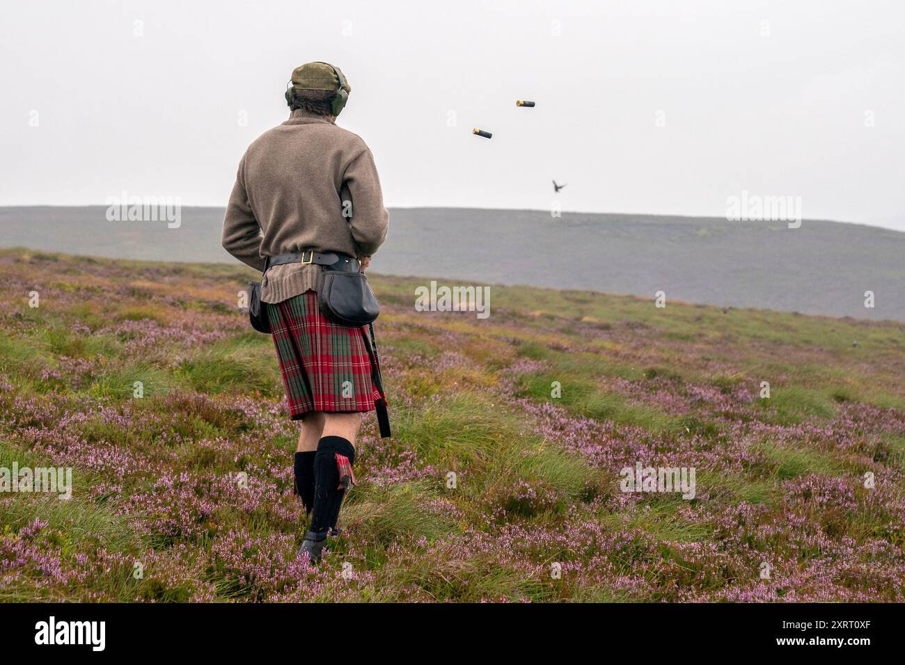 A member of a shooting party on the moors in the Lammermuir Hills, near ...