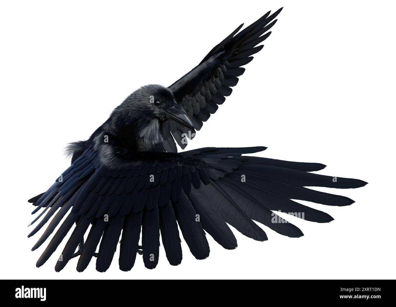 3D rendering of a black crow isolated on white background Stock Photo ...