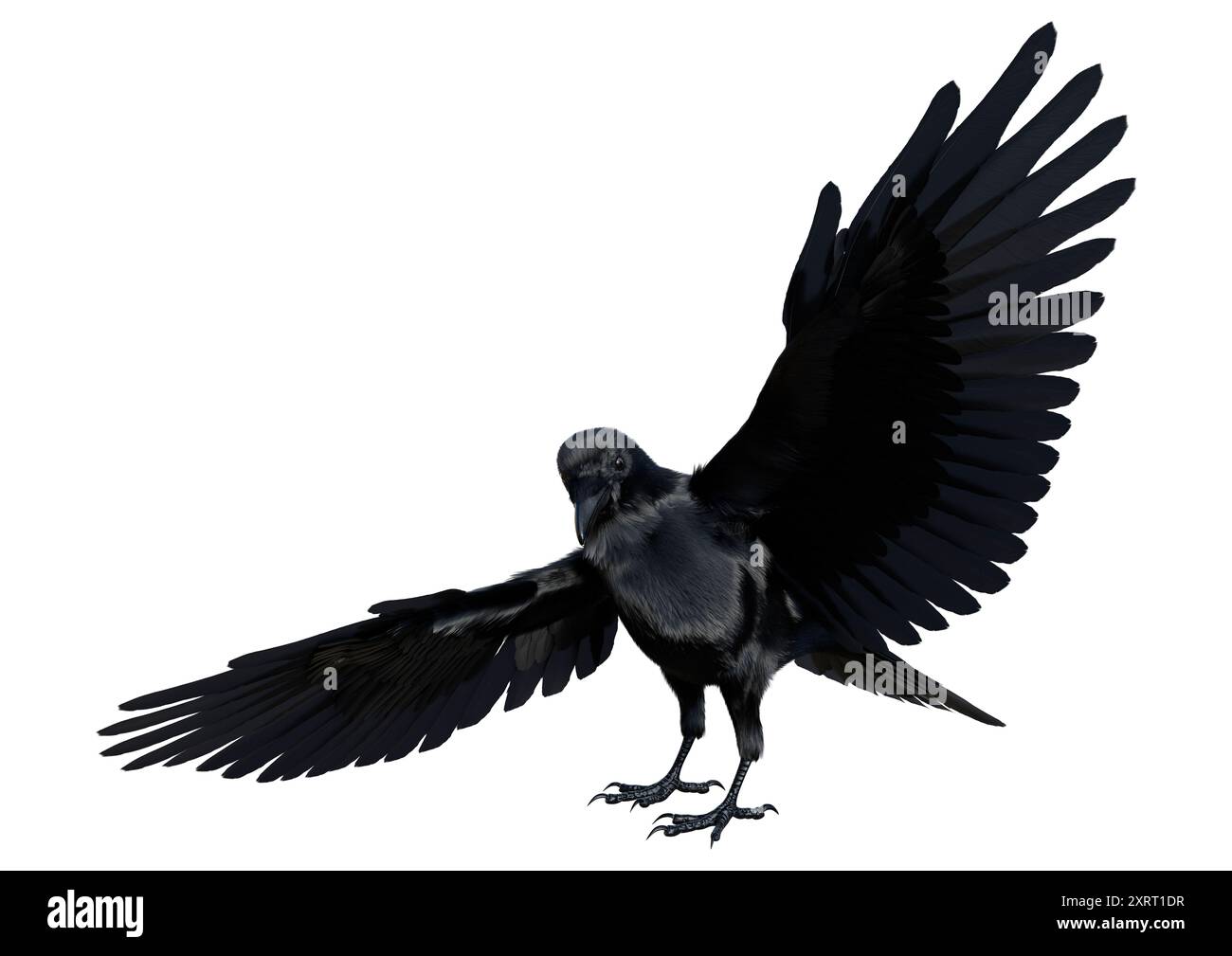 3D rendering of a black crow isolated on white background Stock Photo ...