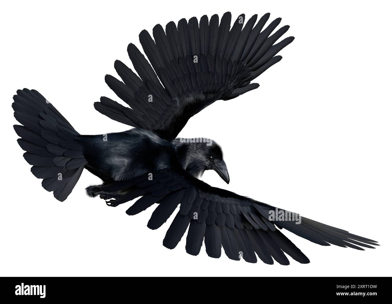 3D rendering of a black crow isolated on white background Stock Photo ...