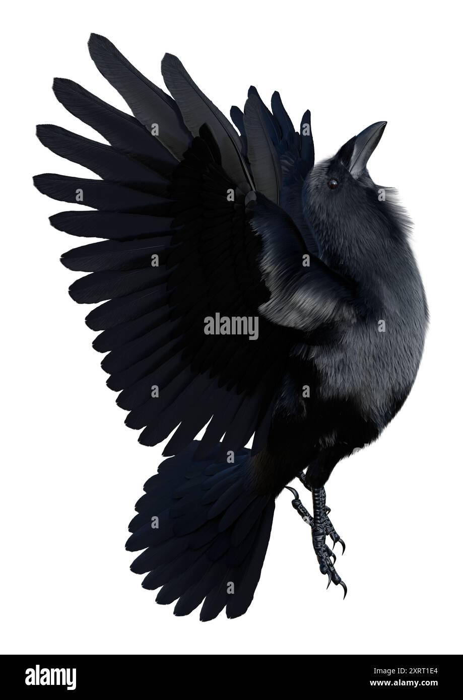3D rendering of a black crow isolated on white background Stock Photo ...