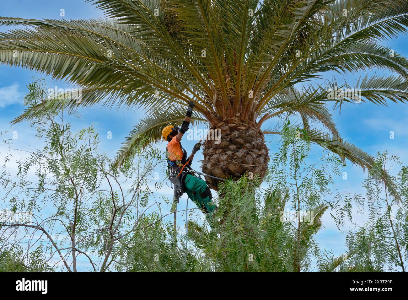 Surgeon man in protective hi-res stock photography and images - Alamy