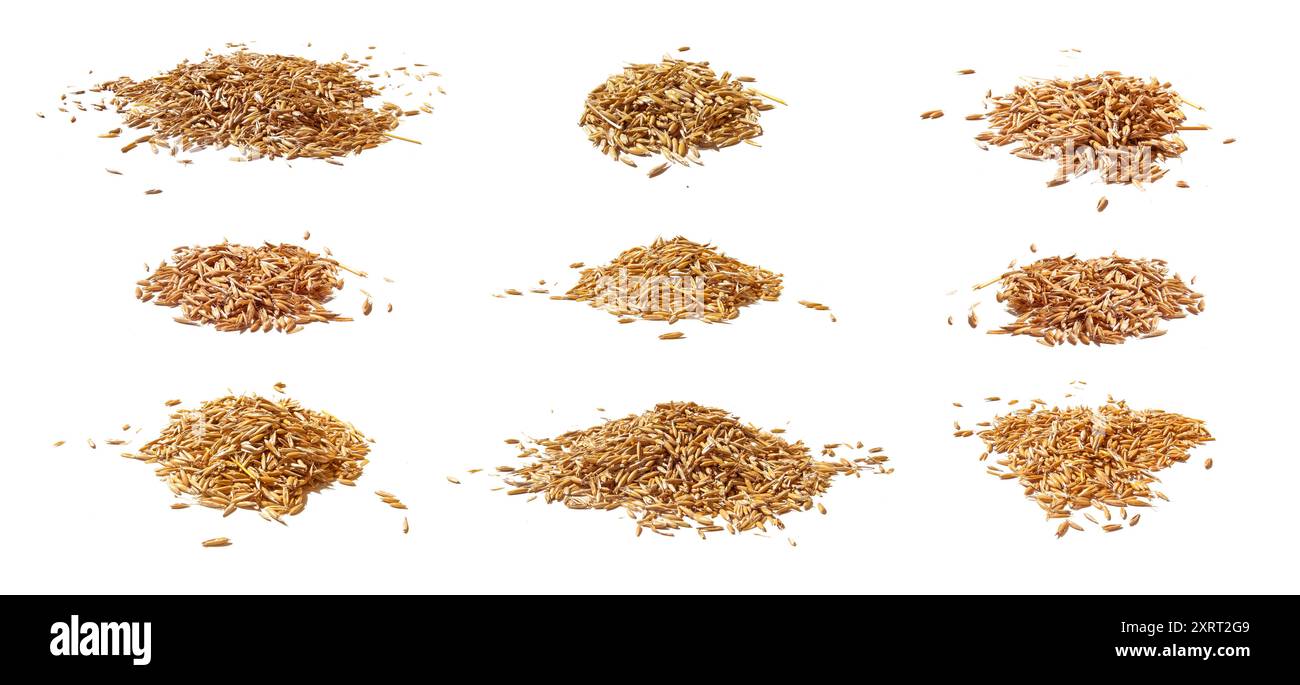 Farmer corn field sunset Cut Out Stock Images & Pictures - Alamy