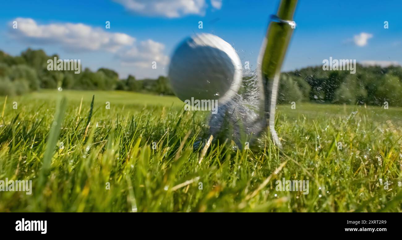 Golf club hits a golf ball. Drops of morning dew and grass particles ...