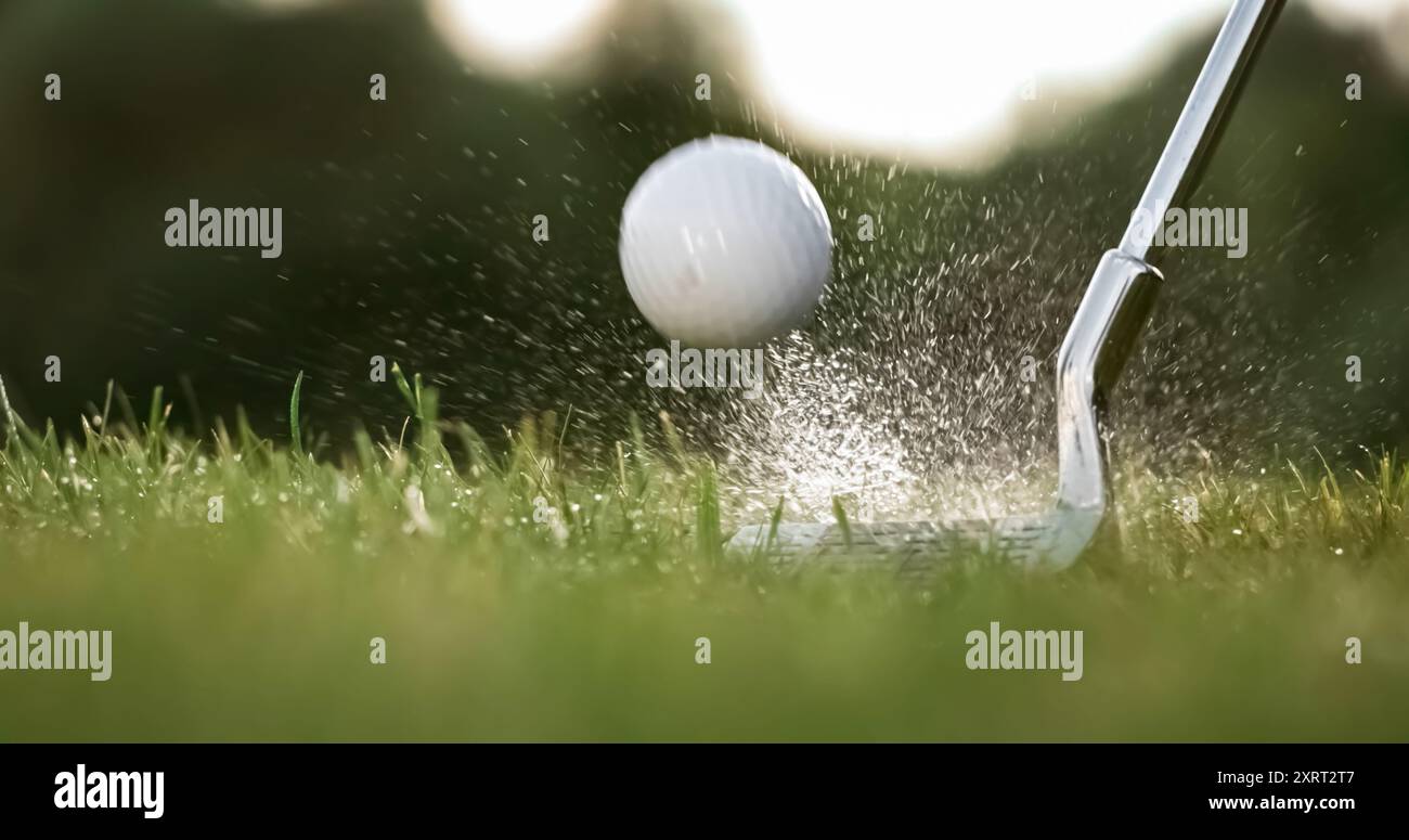 Golf club hits a golf ball. Drops of morning dew and grass particles ...