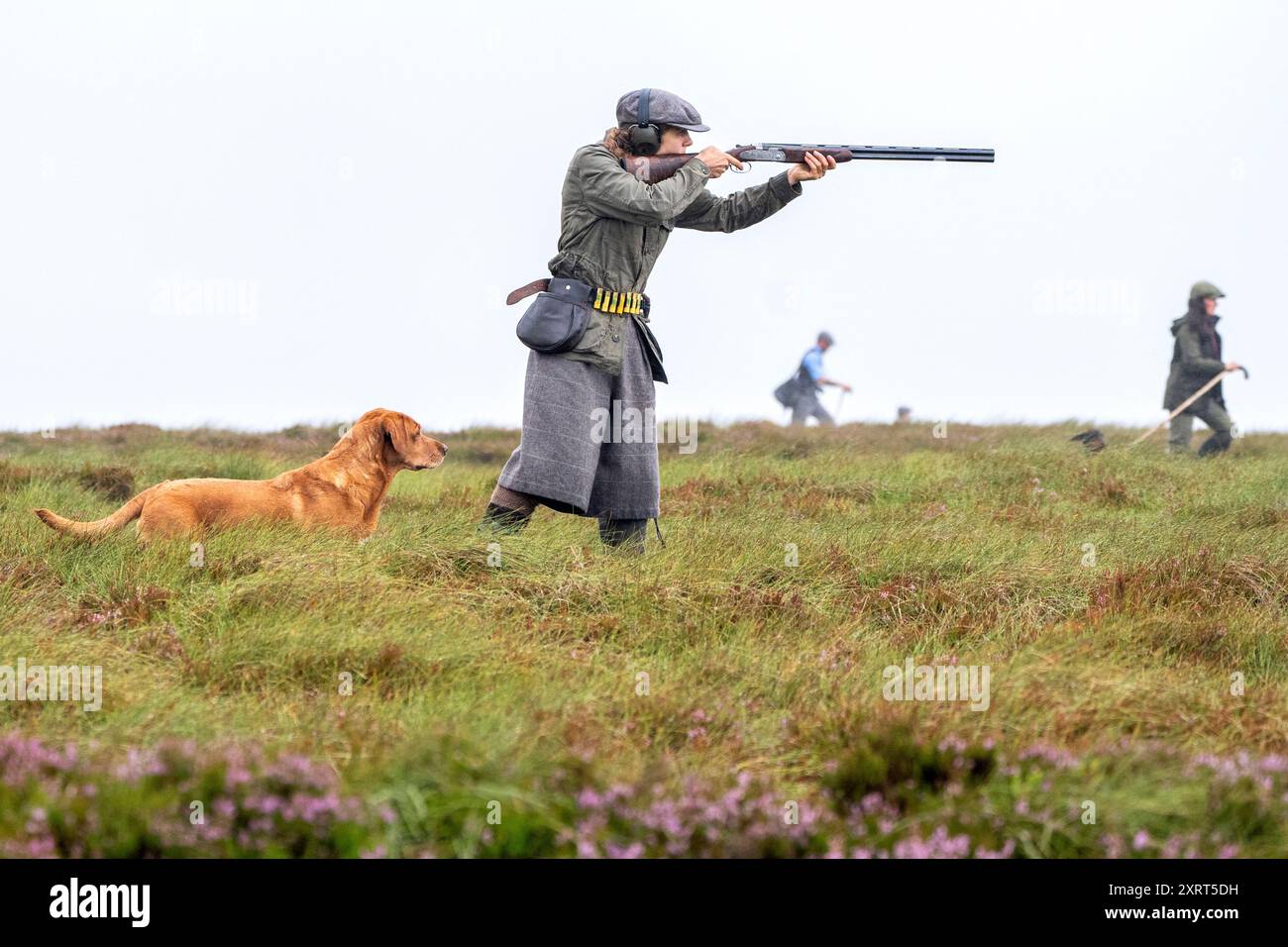 Members of a shooting party on the moors in the Lammermuir Hills, near ...