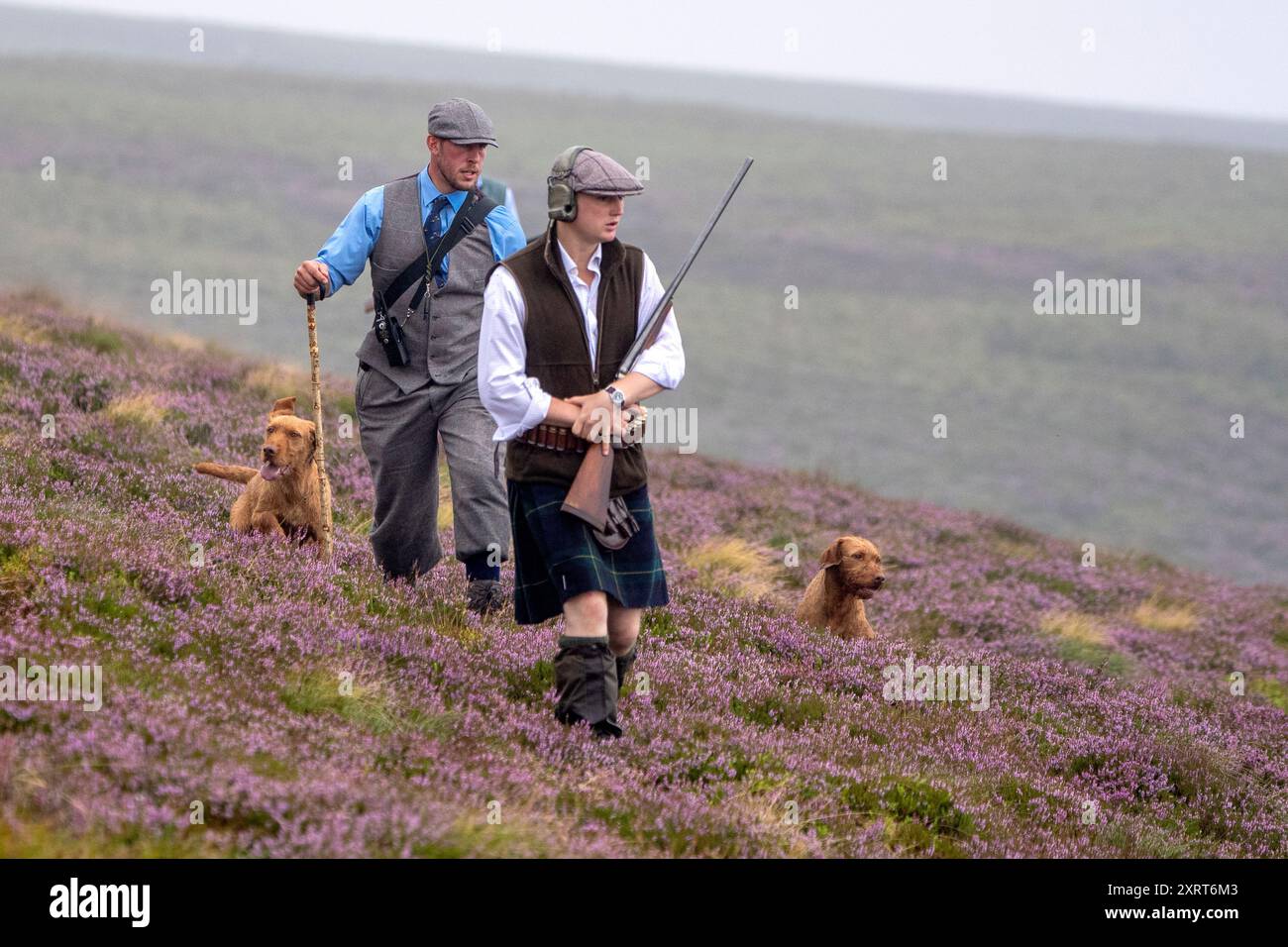 Members of a shooting party on the moors in the Lammermuir Hills, near ...