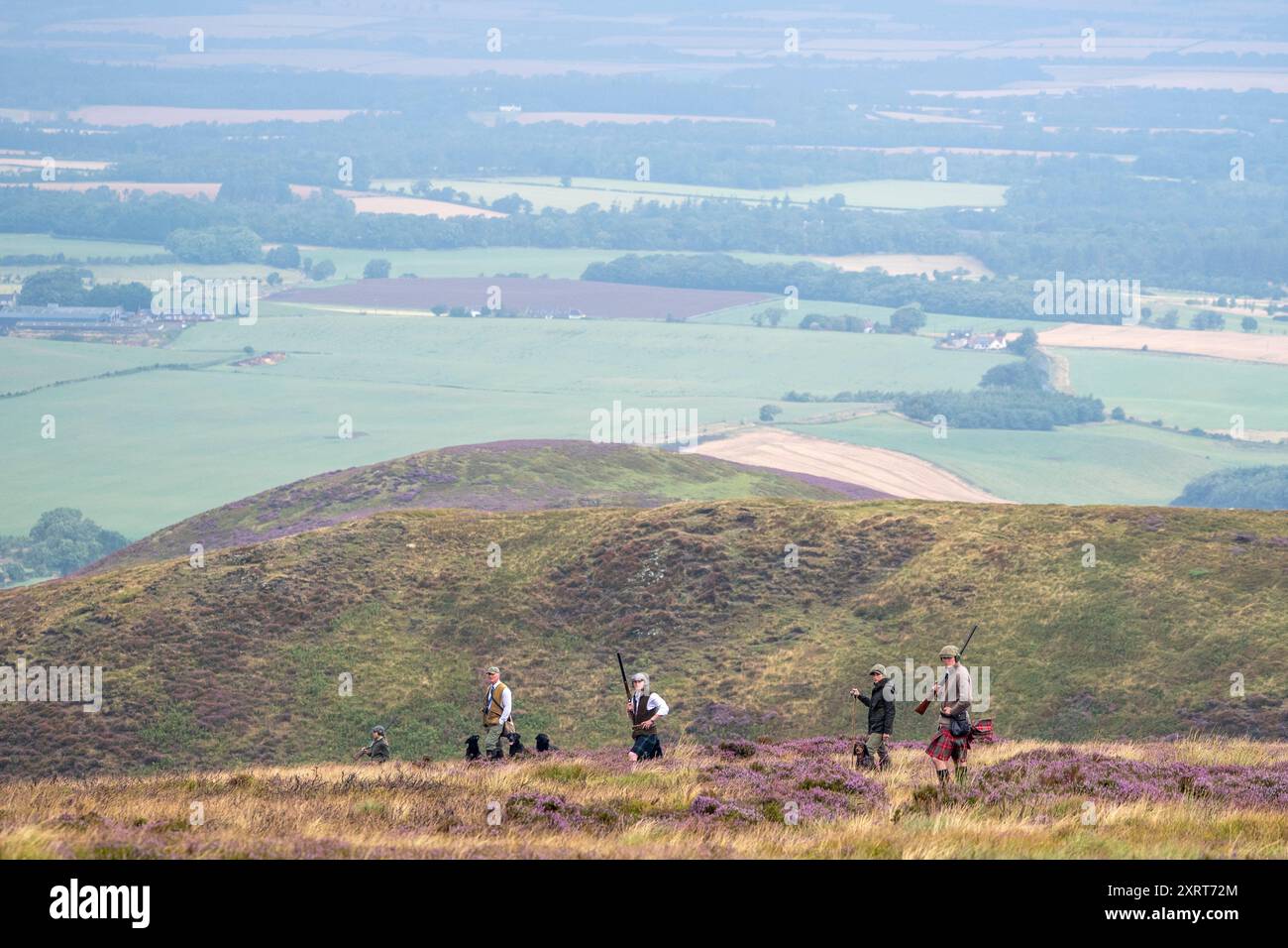 Members of a shooting party on the moors in the Lammermuir Hills, near ...
