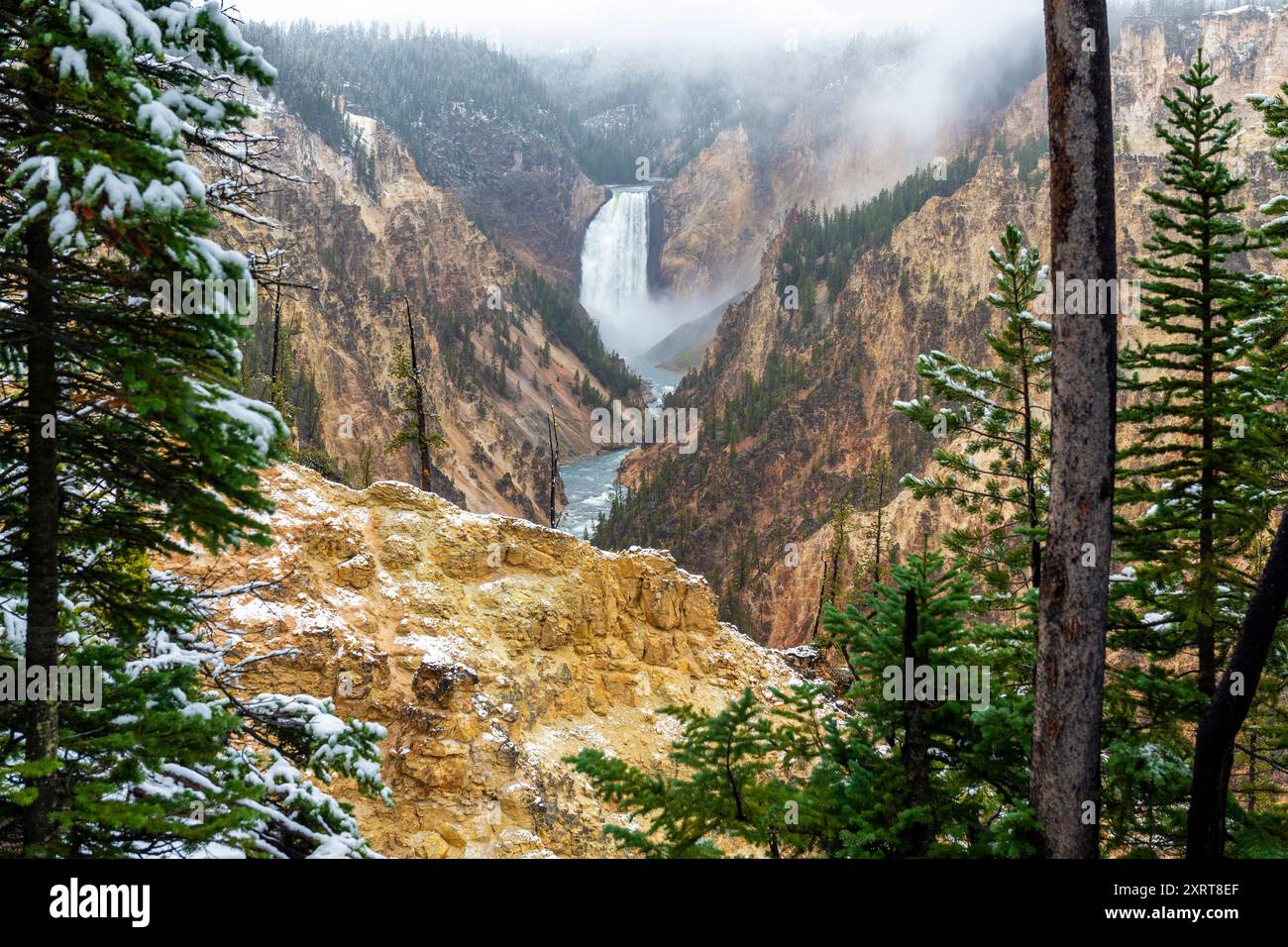 Artistpoint hi-res stock photography and images - Alamy