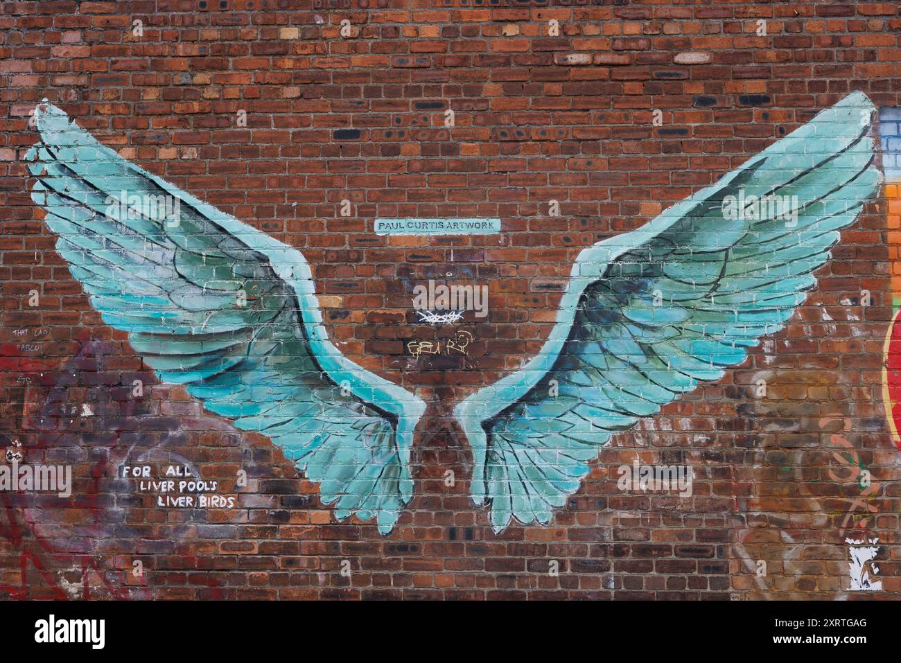 A General view (GV) of For all Liverpool's Liver Birds by local artist ...