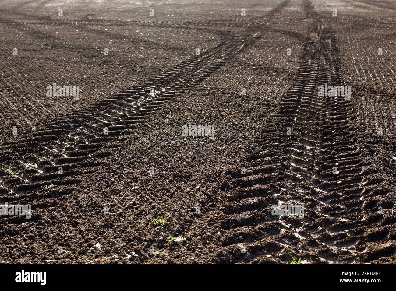 Muddy soil covered field with farm vehicle tracks imprinted into the ...