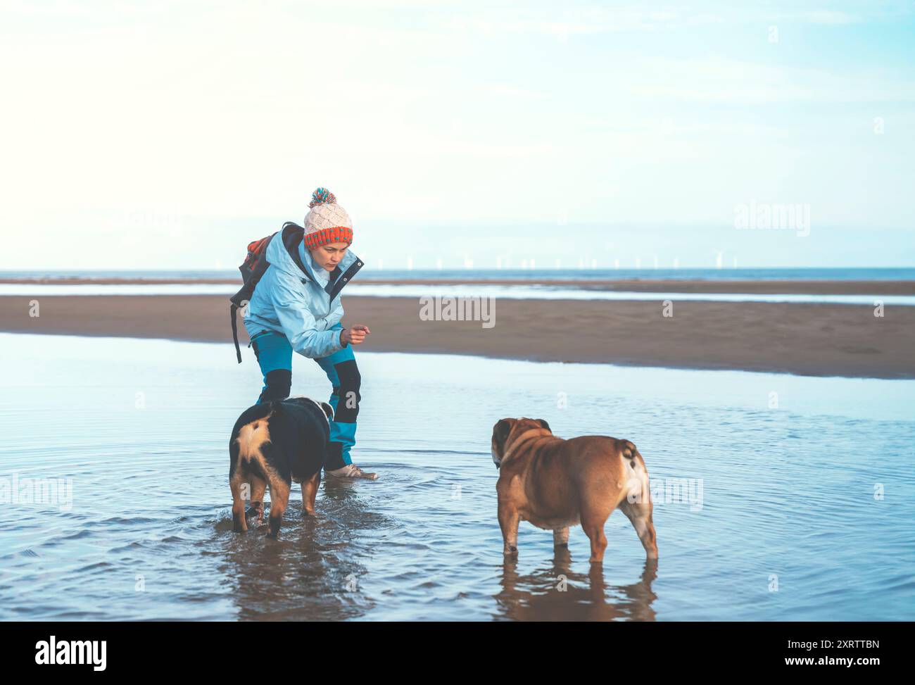 Happy woman touristwith her dogs hiking and exploring new places Stock ...