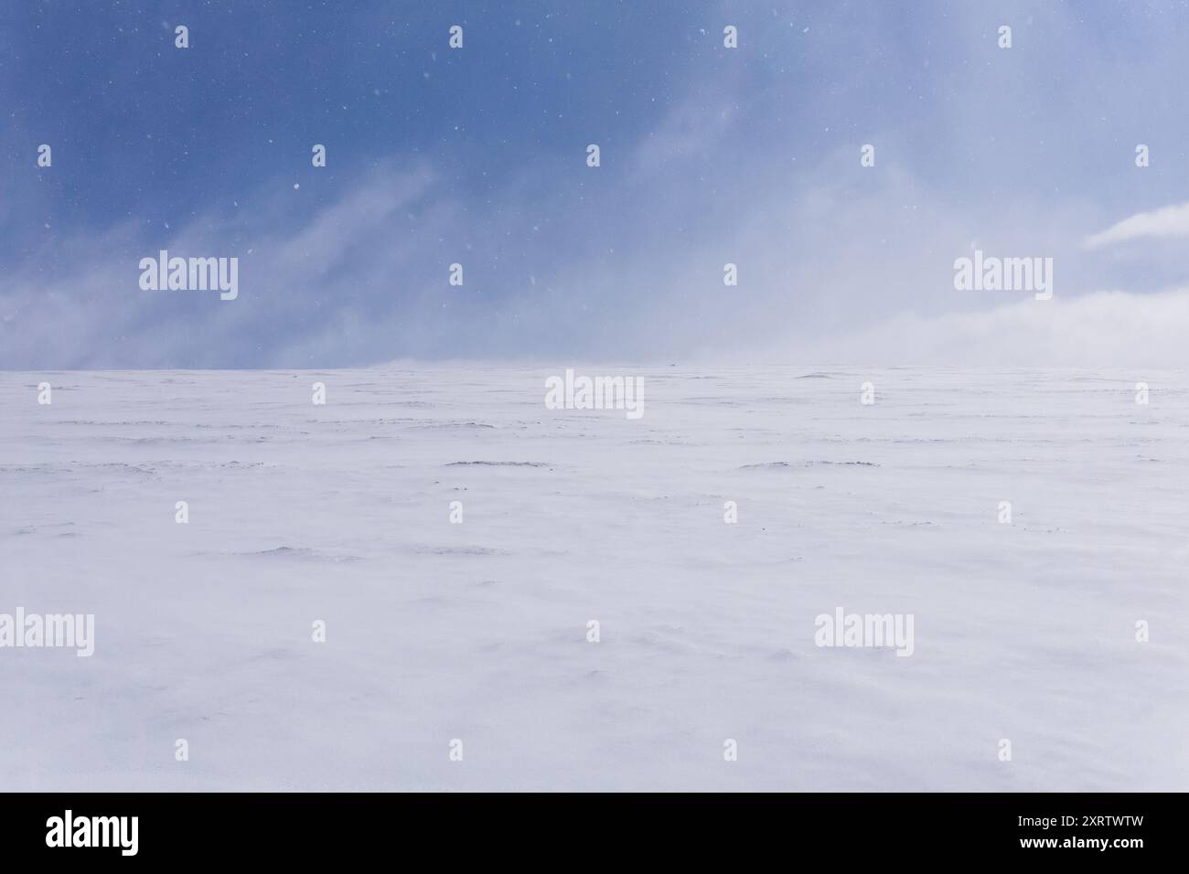 Desert storm and desert shield hi-res stock photography and images - Alamy