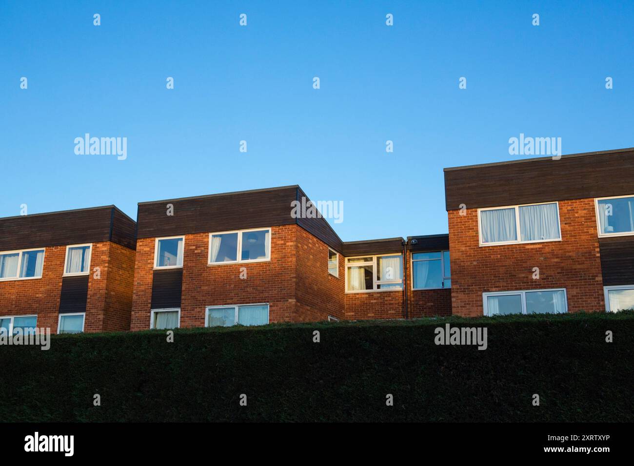 A line of houses or flats partially hidden behind a large green hedge ...