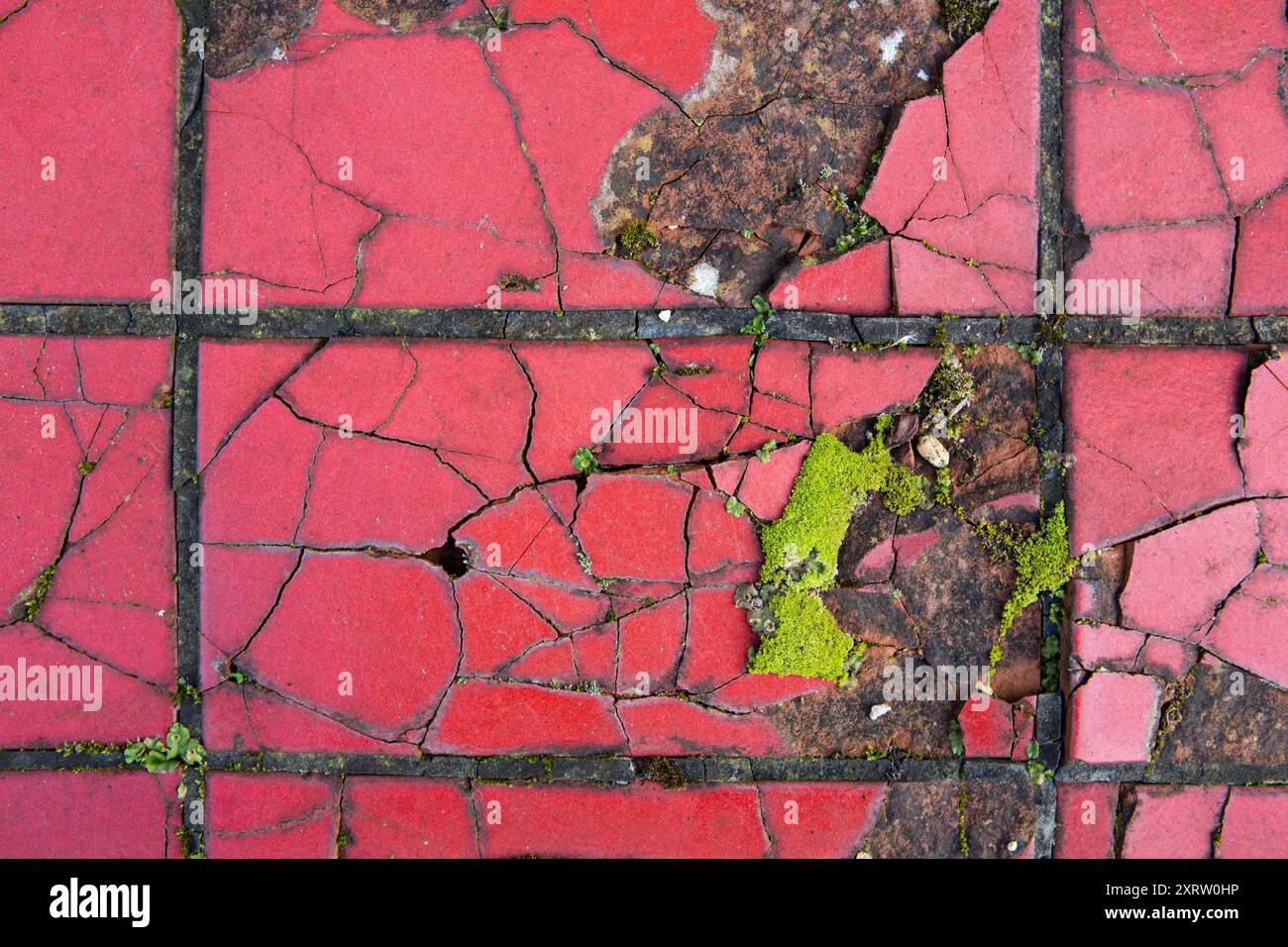 Looking down on broken red ceramic floor tiles cracked and weathered on ...
