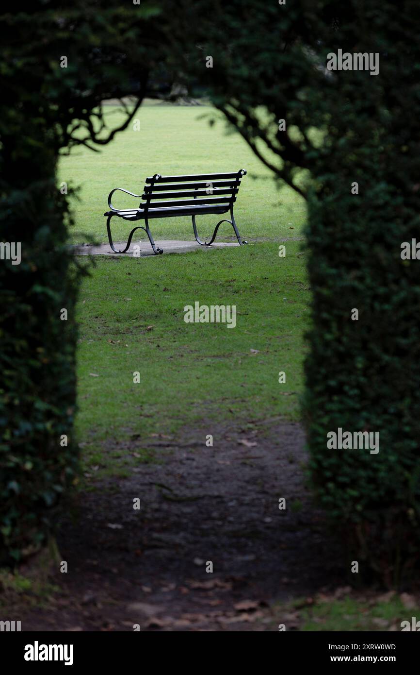 An old park bench seen trhough a gap in a large hedge Stock Photo - Alamy