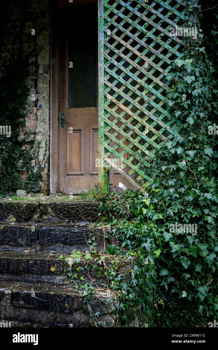 Old broken down empty house overgrown with plants and shut, empty and ...