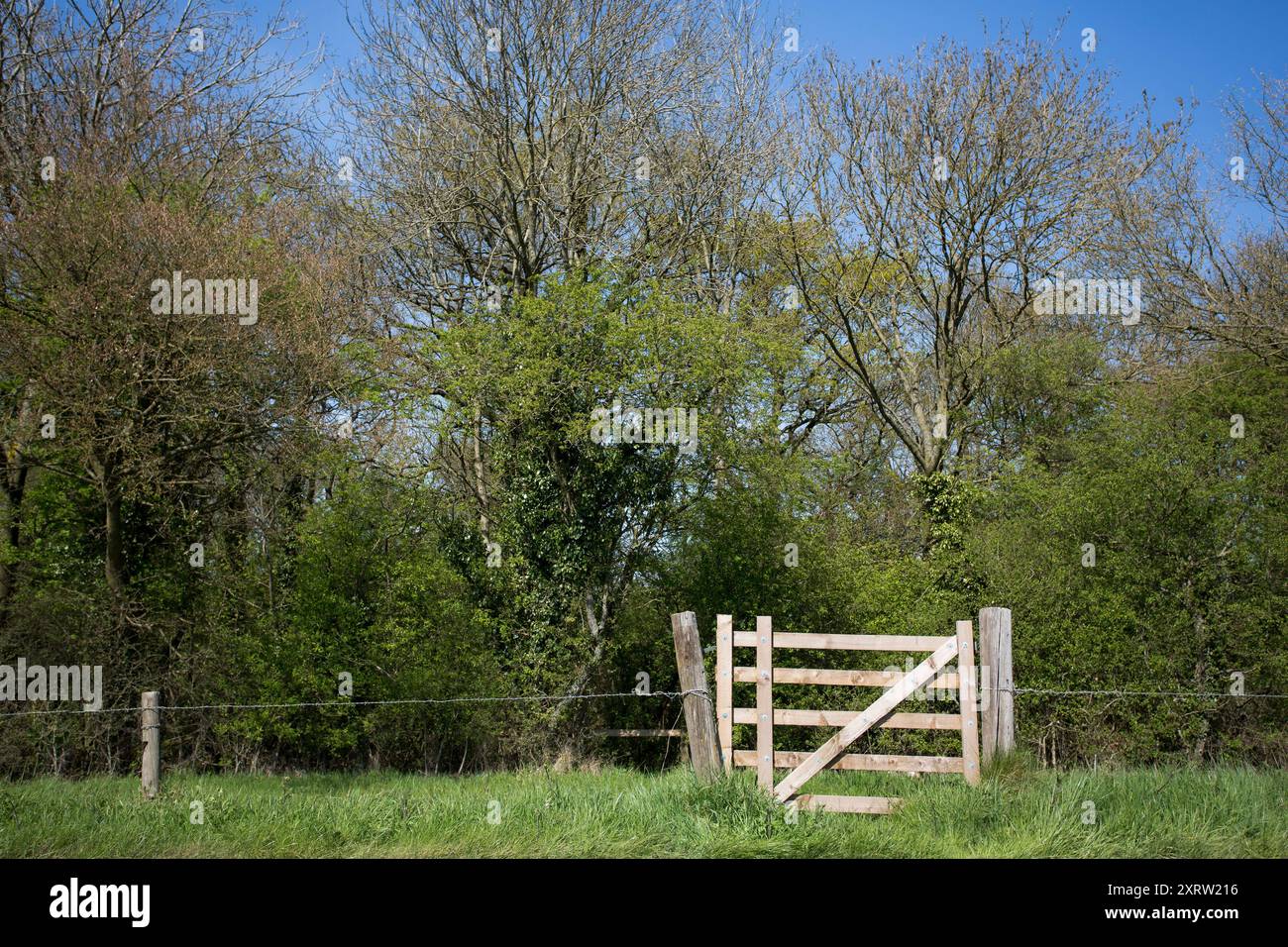 A new wodden gate set in a line of barbed wire fence in the countryside ...