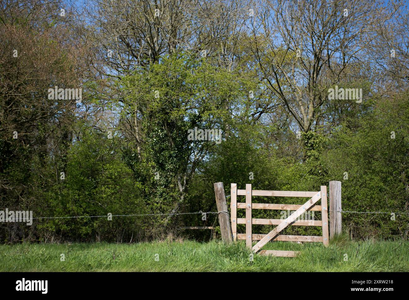 A new wodden gate set in a line of barbed wire fence in the countryside ...