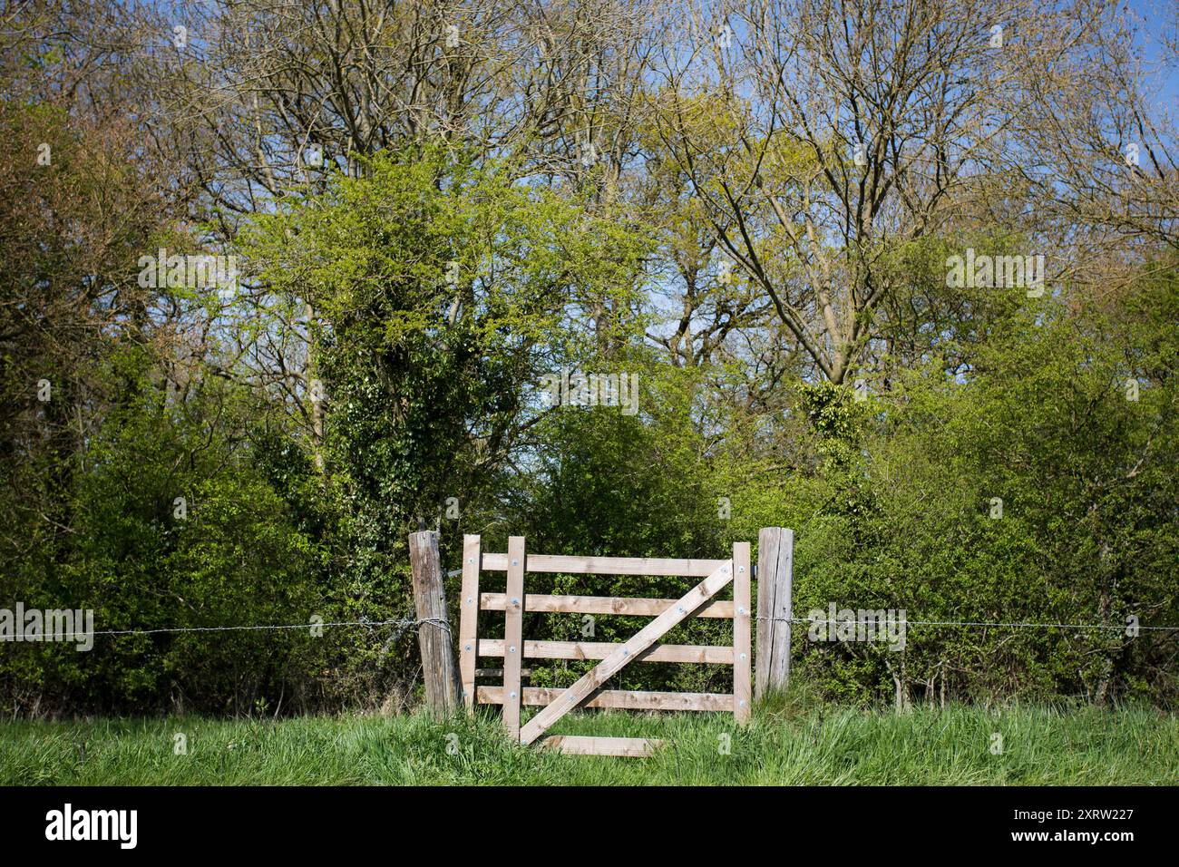 A new wodden gate set in a line of barbed wire fence in the countryside ...