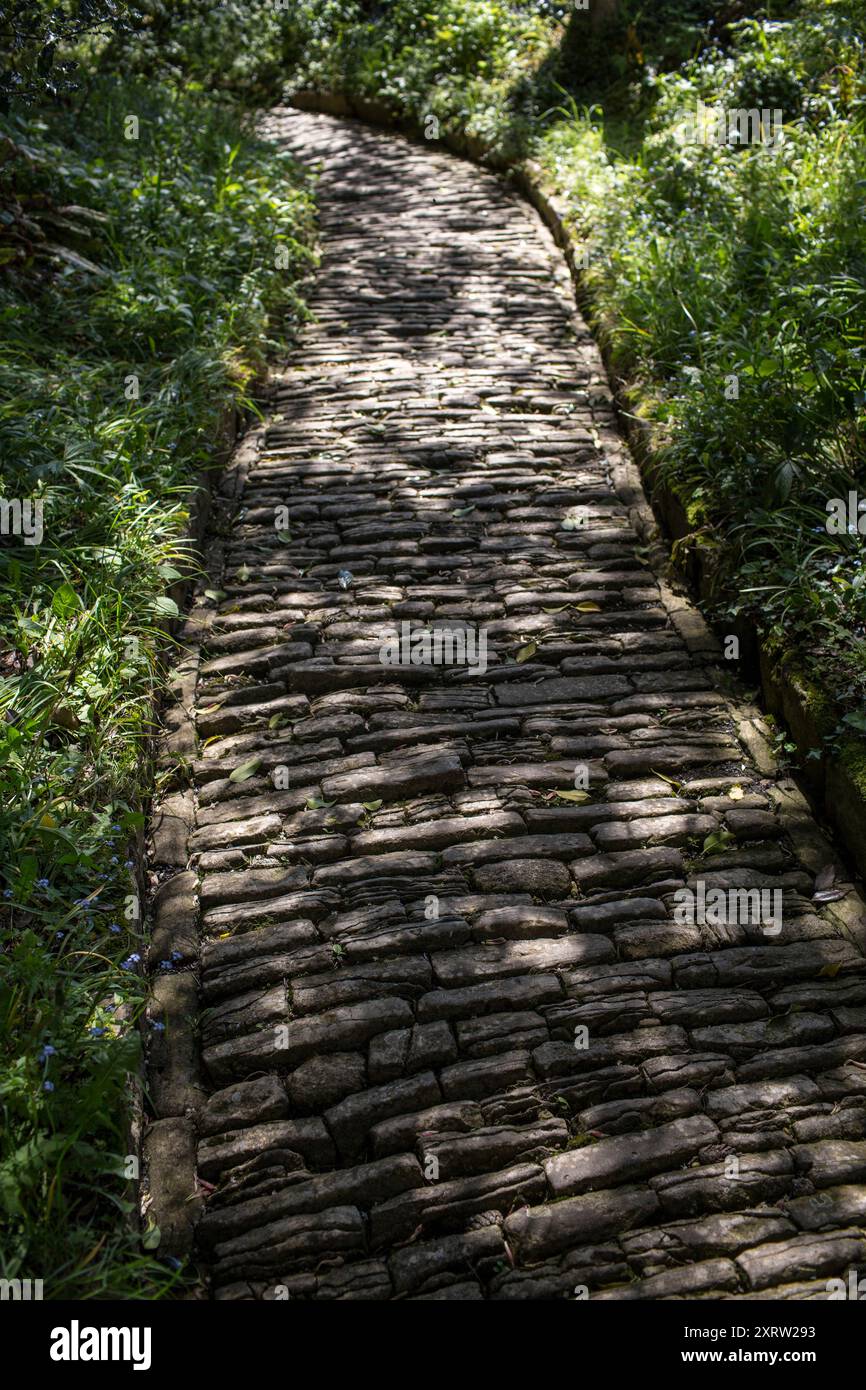 An old stone path winding it's way downhill through a large garden in ...