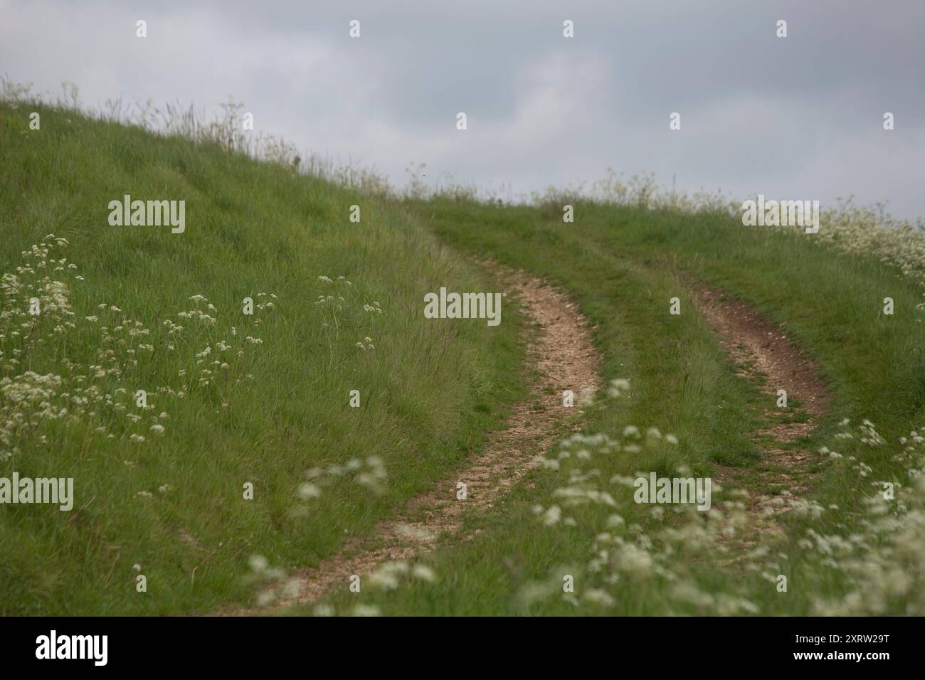 Tracks on a hill side made by farm vehicles as they cross the farmer's ...