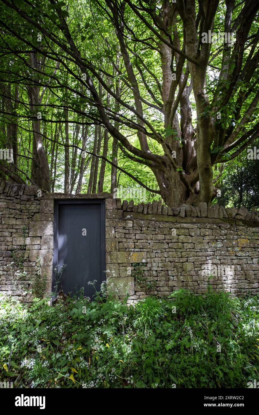 A new wooden gate set in a large hedge hiding access to a hidden garden ...
