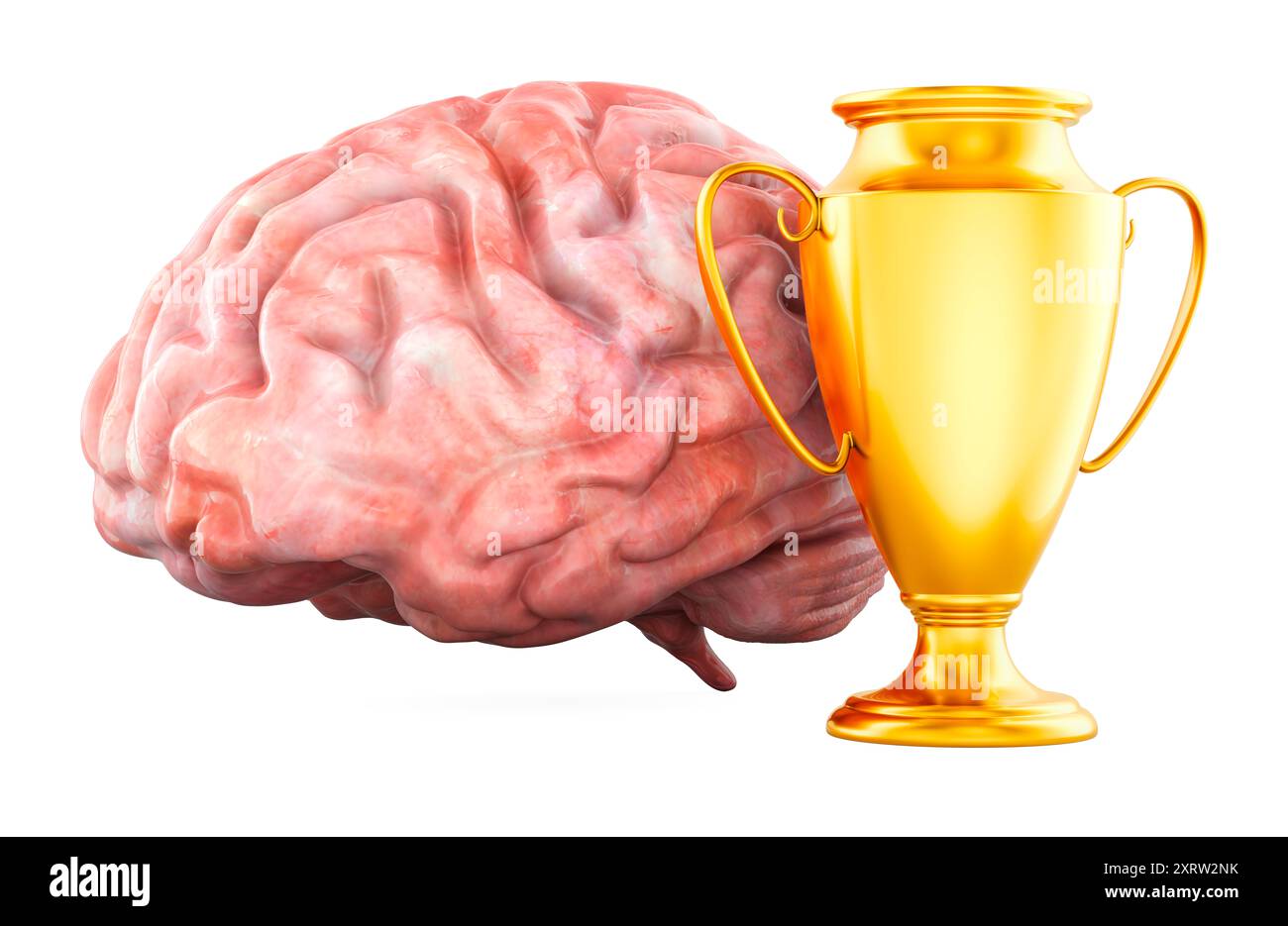 Human Brain with gold trophy cup award. 3D rendering isolated on white ...
