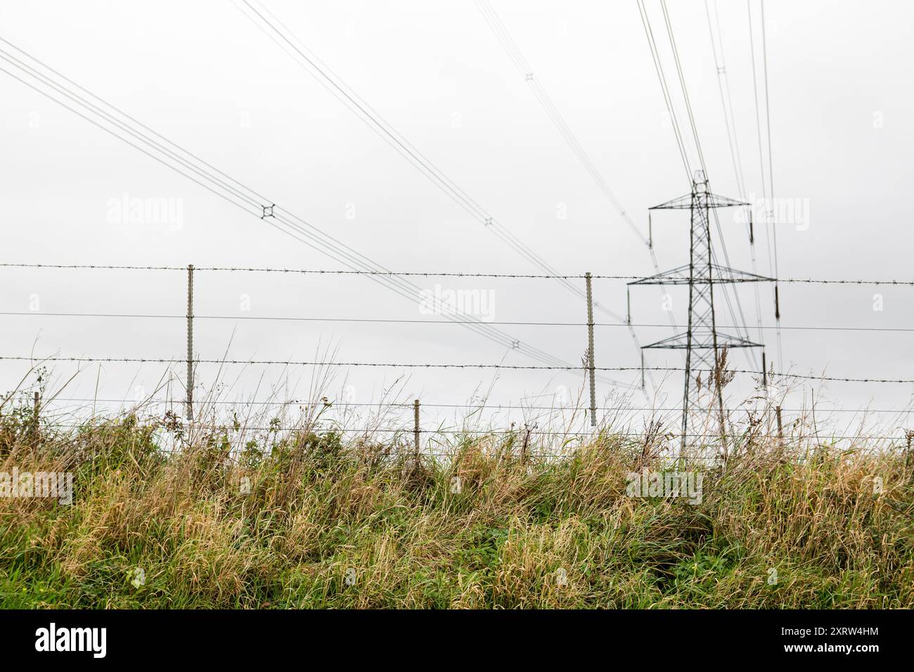 Electrical power lines stretch from a pylon across a farmer's field ...
