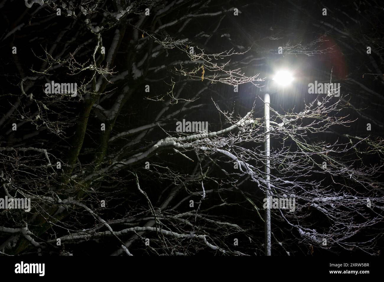 Snow falling street lamp hi-res stock photography and images - Alamy