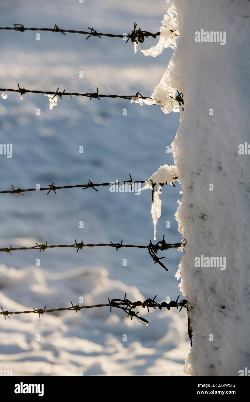 A large farmer's field covered in snow with gentle ridges outlining the ...