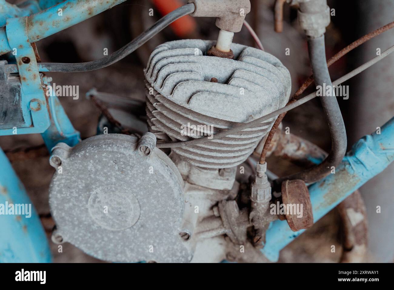 Highlighting intricate textures hi-res stock photography and images - Alamy