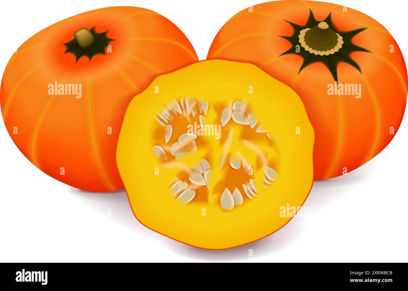 Whole and chopped Orange buttercup squash. Winter squash. Cucurbita ...