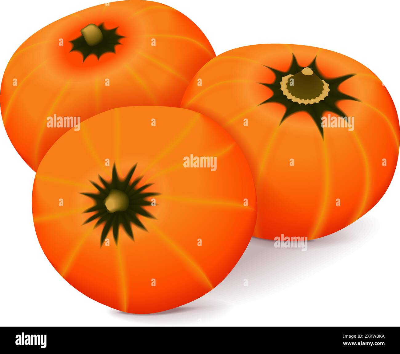 Group of Orange buttercup squash. Winter squash. Cucurbita maxima ...