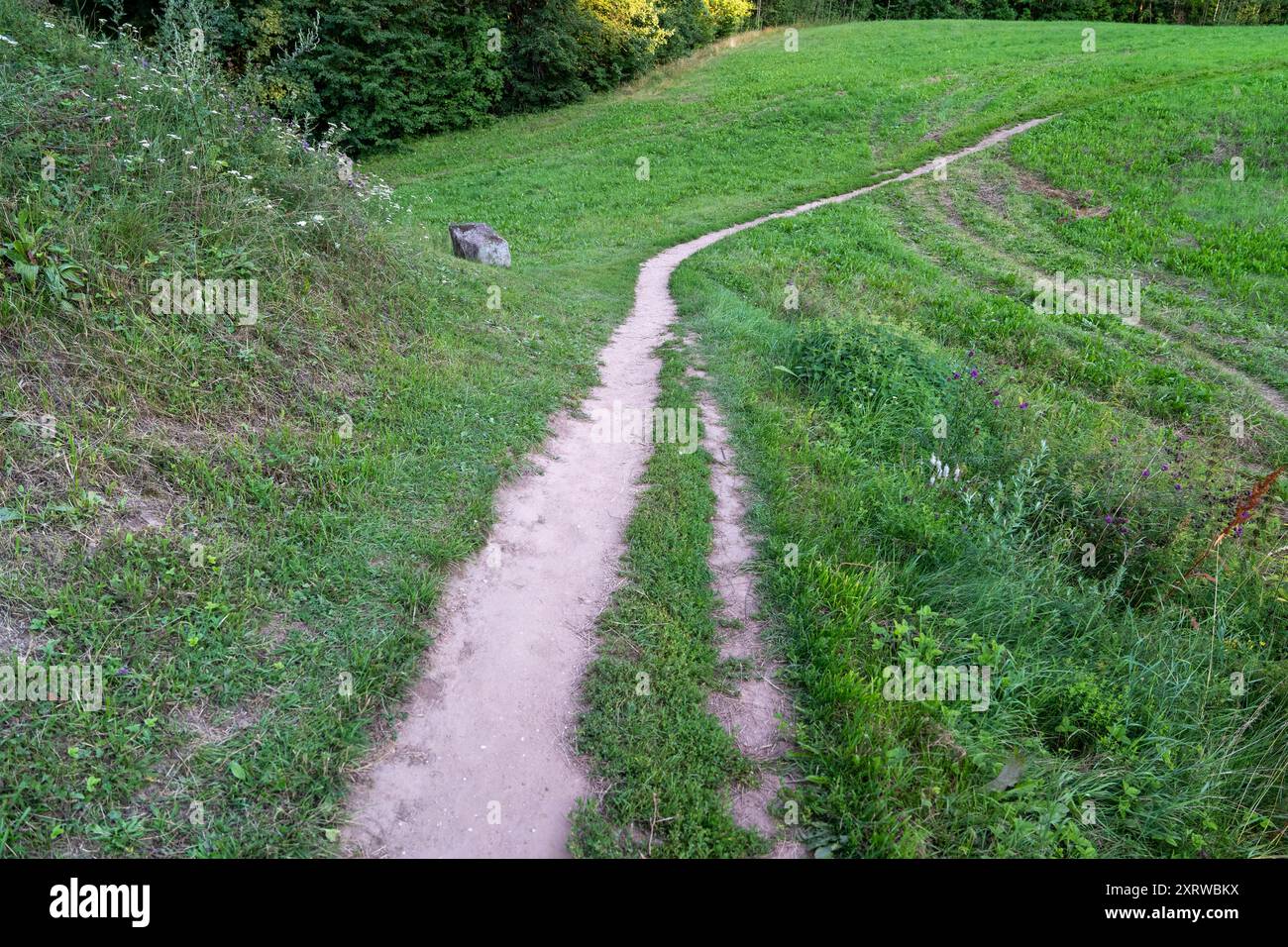 Rural trail through grassy hi-res stock photography and images - Alamy