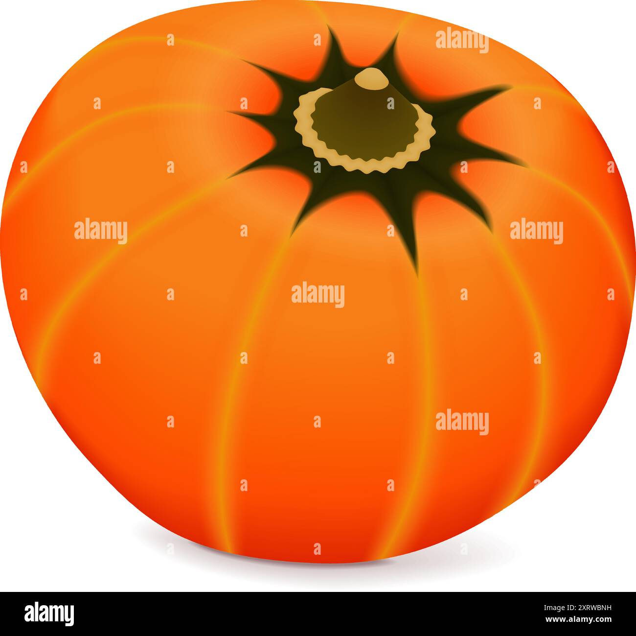 Orange buttercup squash. Winter squash. Cucurbita maxima. Fruits and ...