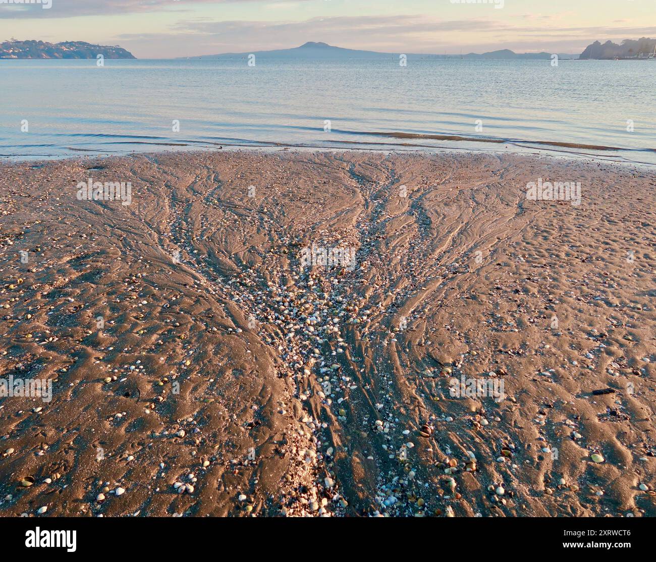 An aerial of a sandy beach covered with cockle shells with calm blue ...