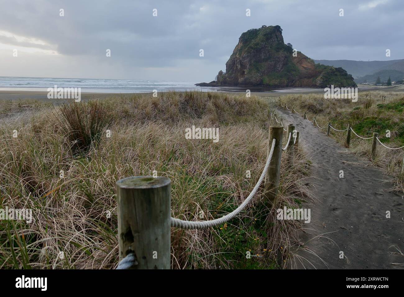 The Lion Rock, as seen from the grassland and pathway of the South Piha ...