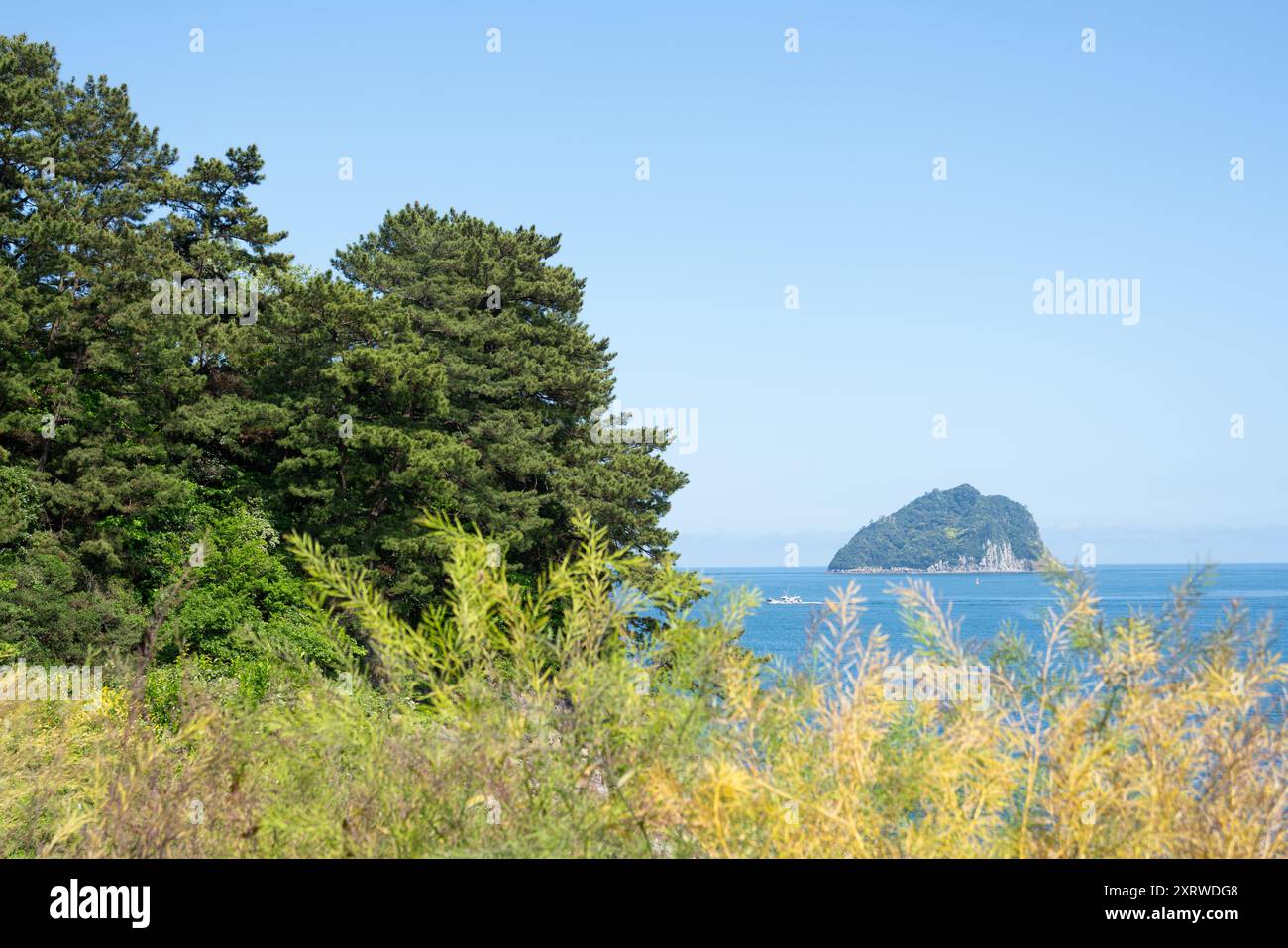 Seogwipo Jaguri Park seascape in Jeju island, Korea Stock Photo - Alamy