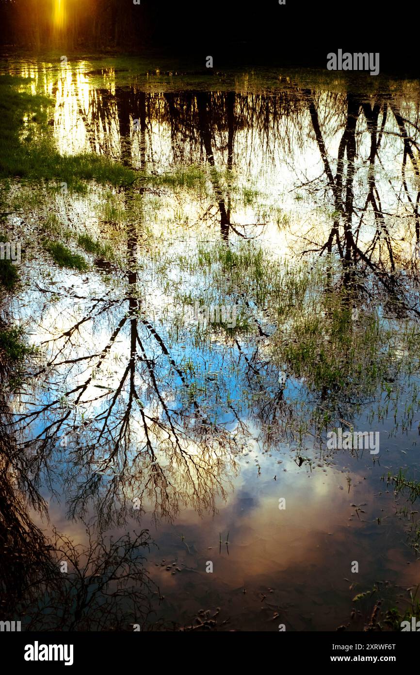 Sunset reflected in a large puddle of water in a field during the ...