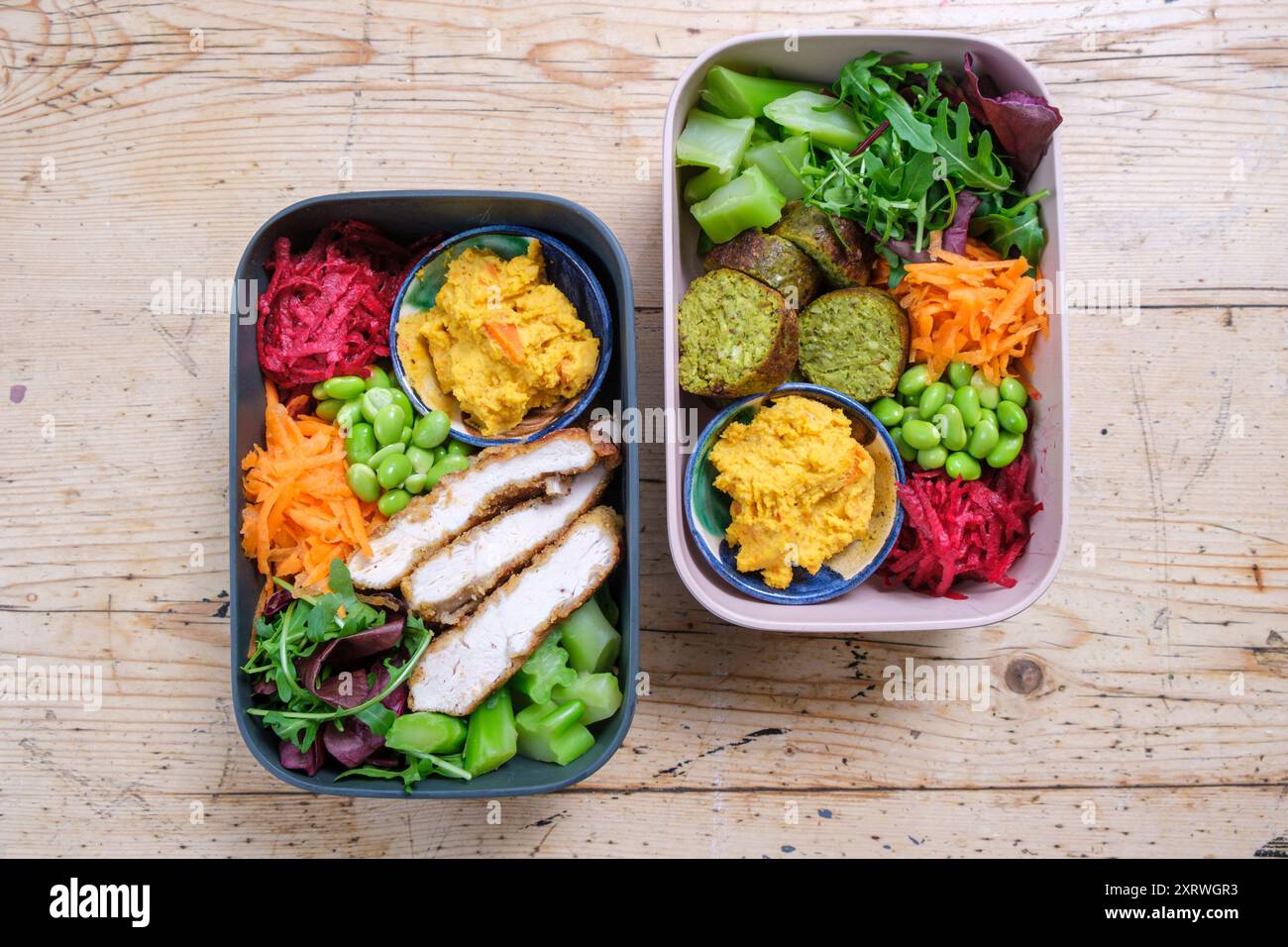 Plastic lunch box filled with salads and grilled breaded chicken strips ...