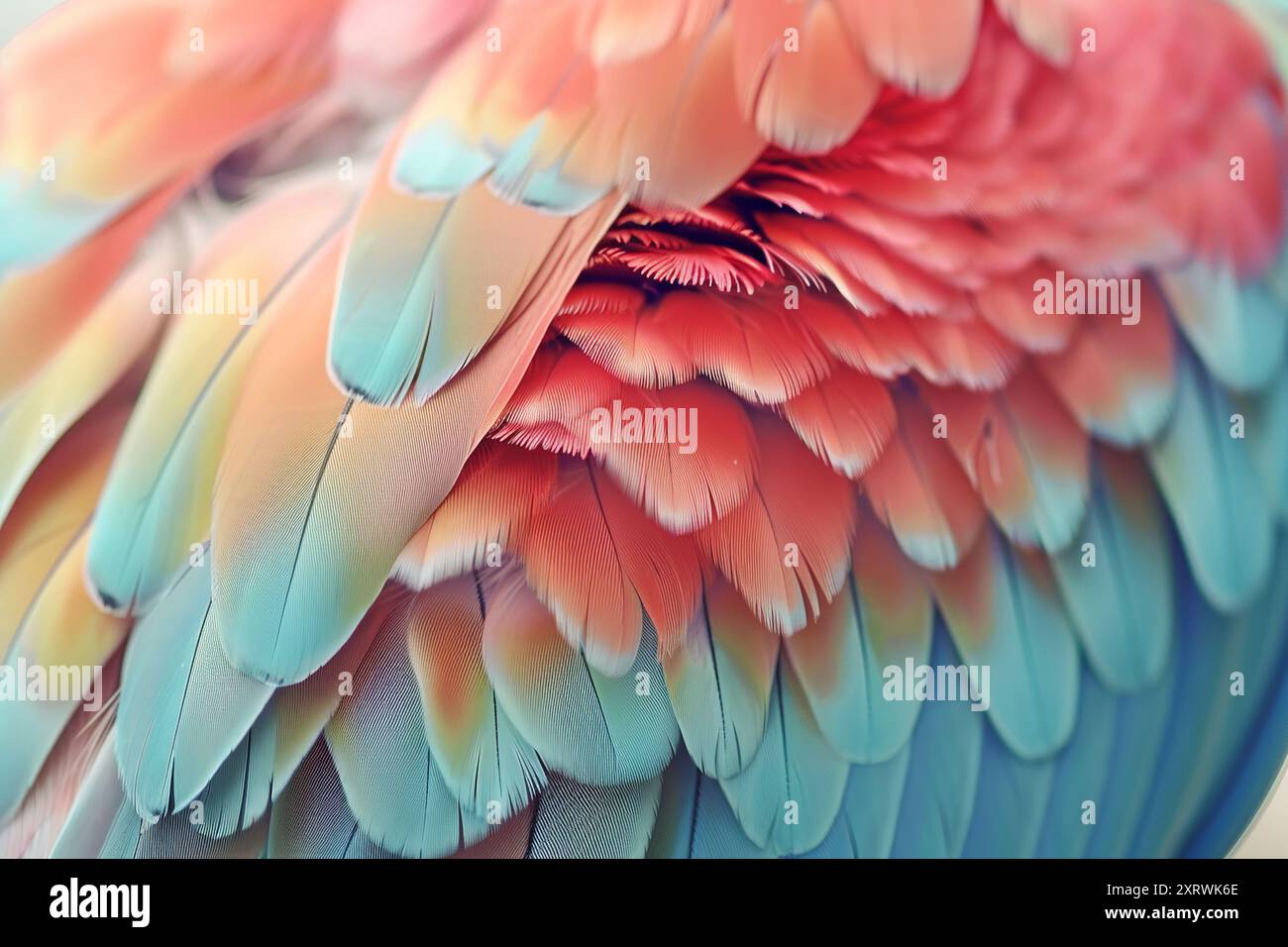 Beautiful colorful feather bird texture background. A close up of a ...