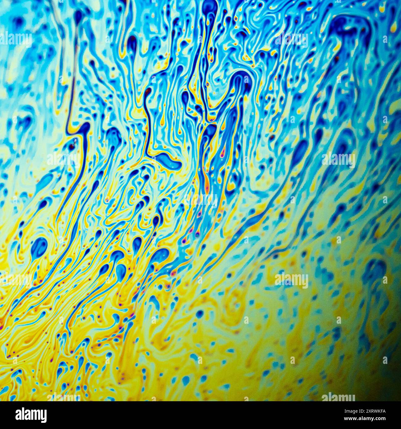 Its a macro lens hi-res stock photography and images - Alamy