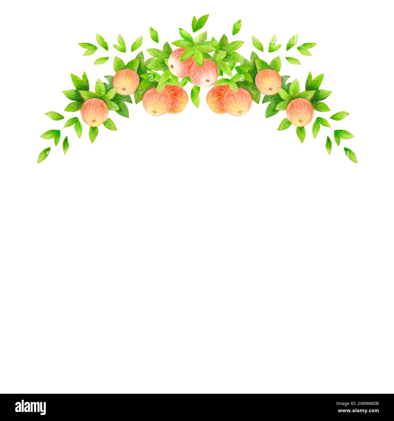 Semicircular frame of apple tree branches with leaves and fruits ...