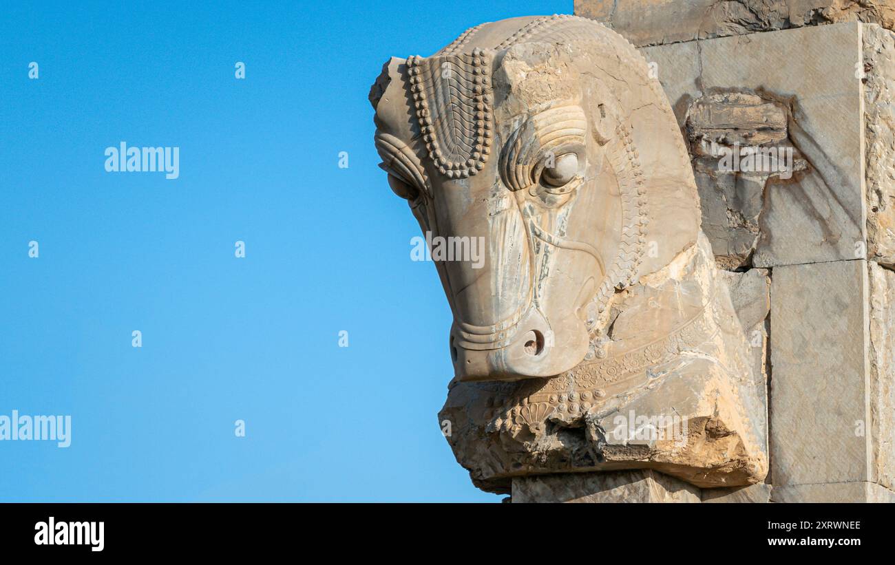 Iran persepolis horse hi-res stock photography and images - Alamy