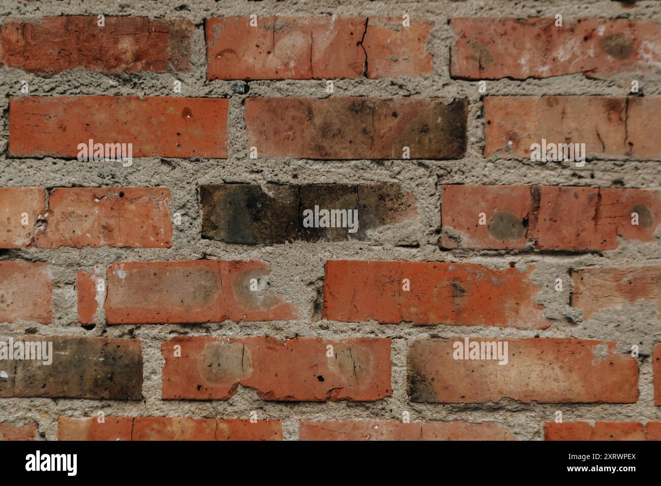 A brick wall with a few missing bricks. The wall is brown and red in ...